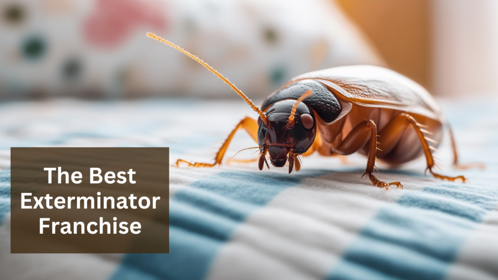 What’s the Best Exterminator Franchise?